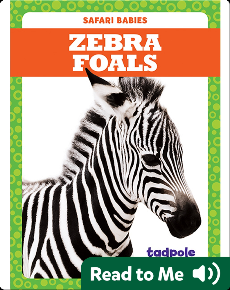 Zebra Foals Book by Genevieve Nilsen | Epic