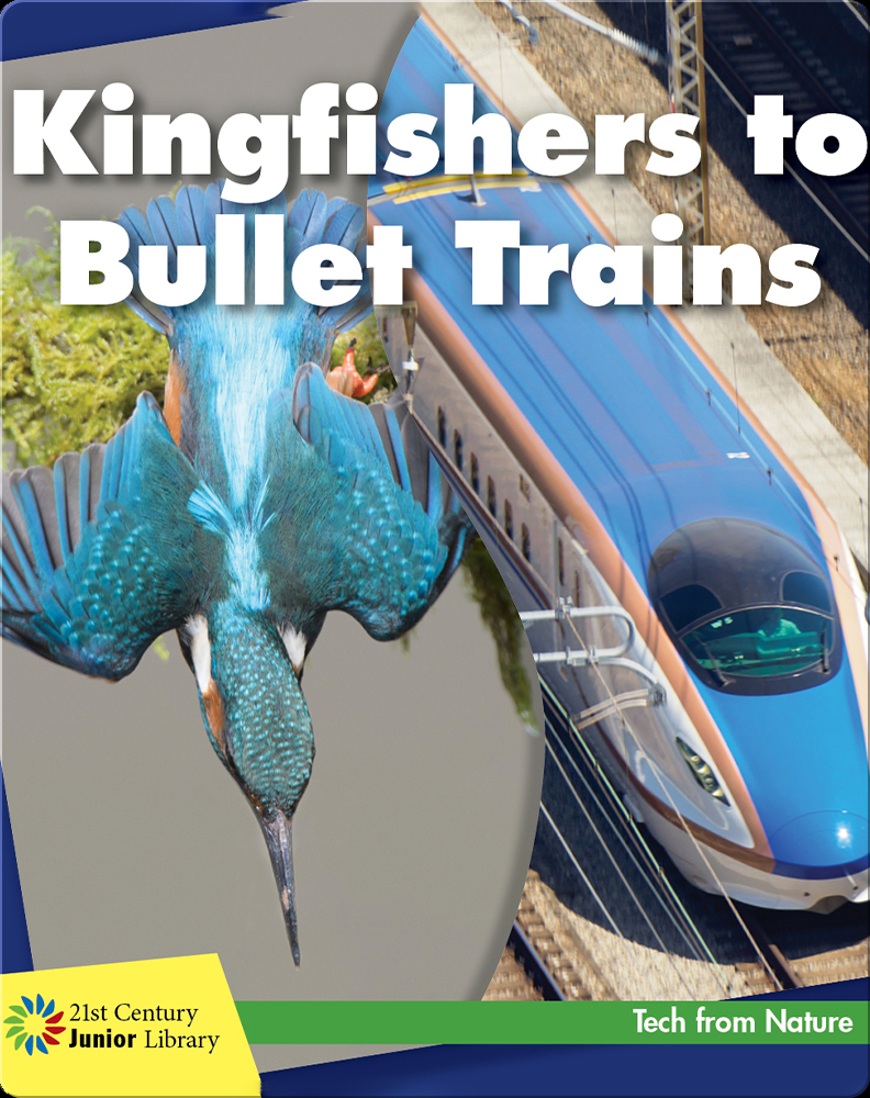 Kingfishers to Bullet Trains Book by Jennifer Colby | Epic