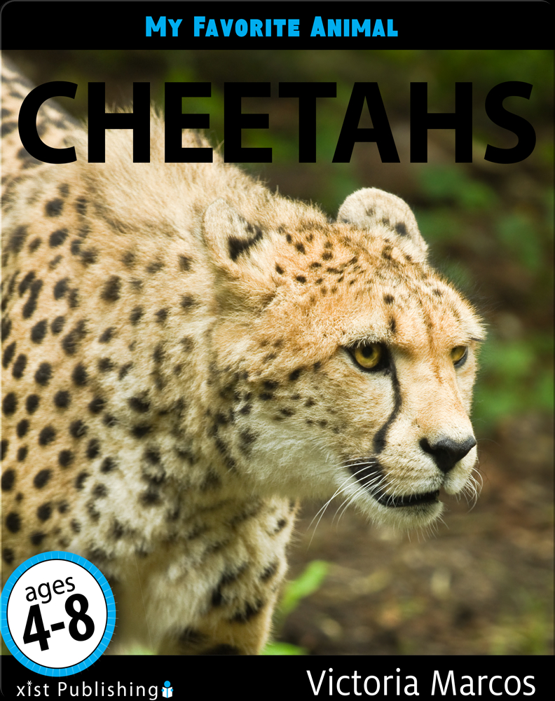 My Favorite Animal: Cheetahs Book by Victoria Marcos | Epic
