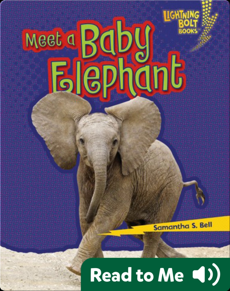 Meet a Baby Elephant Book by Samantha S. Bell | Epic