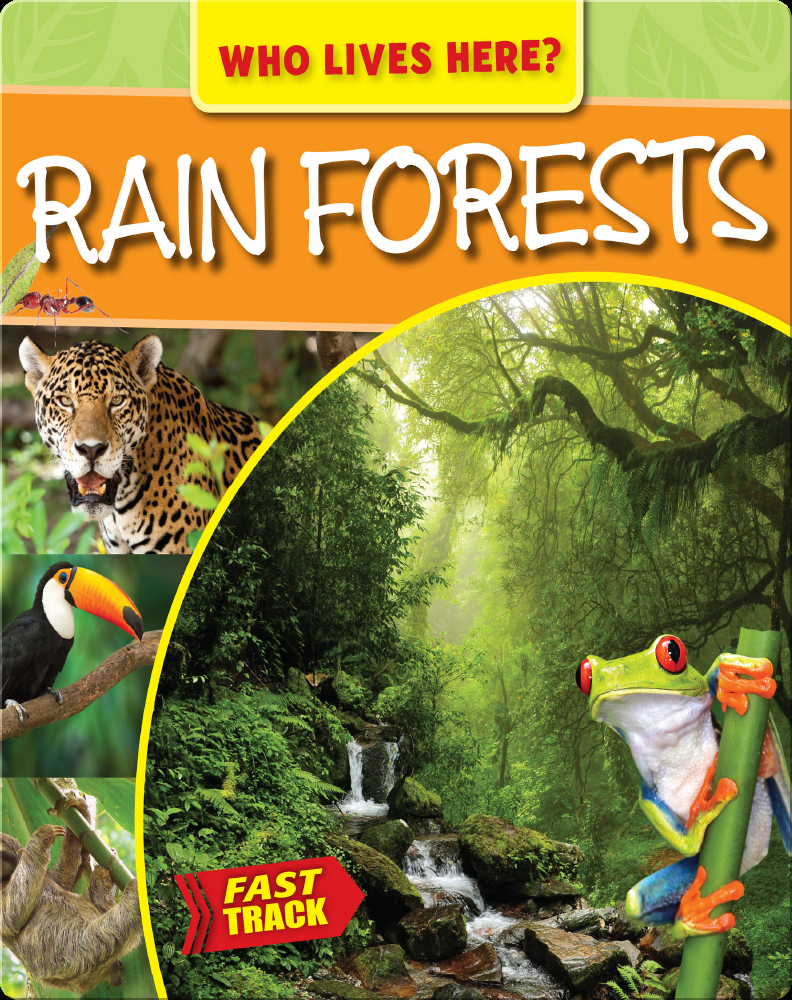 Rain Forests Book by Mary-Jane Wilkins | Epic