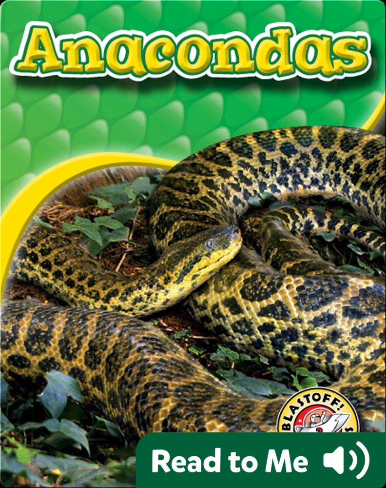 Anacondas: Snakes Alive Book by Colleen Sexton | Epic