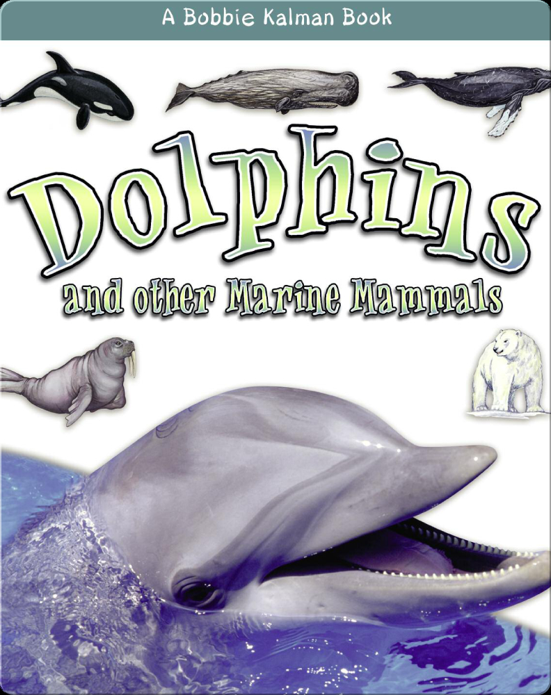 Dolphins and other Marine Mammals Book by Bobbie Kalman, Kelley ...