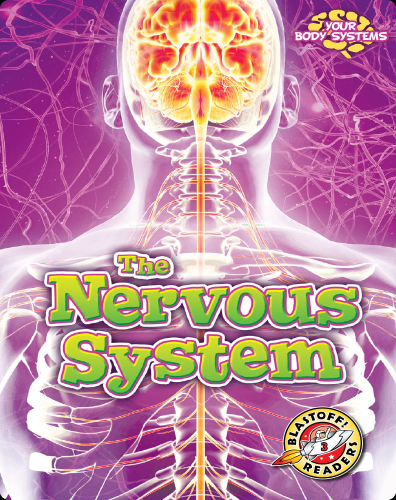 The Nervous System Book by Rebecca Pettiford | Epic