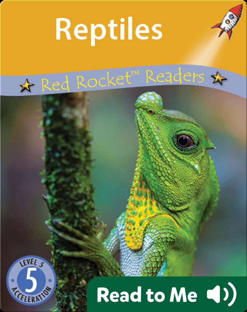 Reptiles Book by Pam Holden | Epic