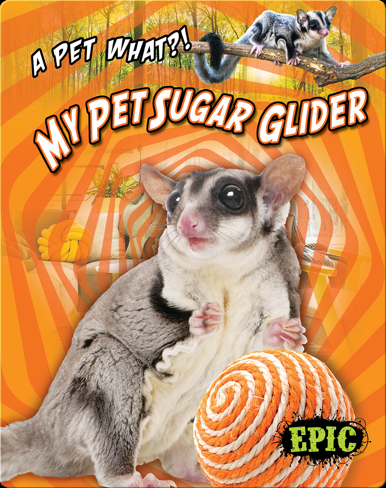 My Pet Sugar Glider Book by Paige V. Polinsky | Epic