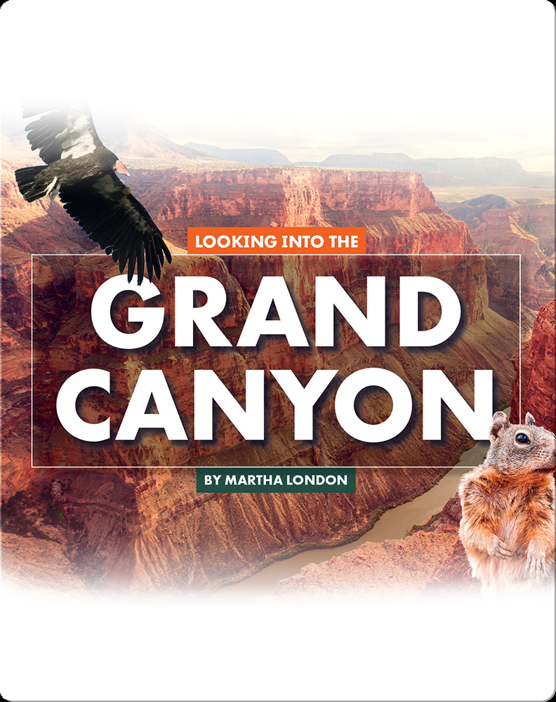 Looking at Layers: Looking Into the Grand Canyon Book by Martha London ...