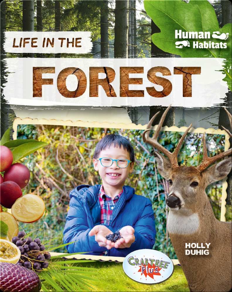 Human Habitats: Life in the Forest Book by Holly Duhig | Epic