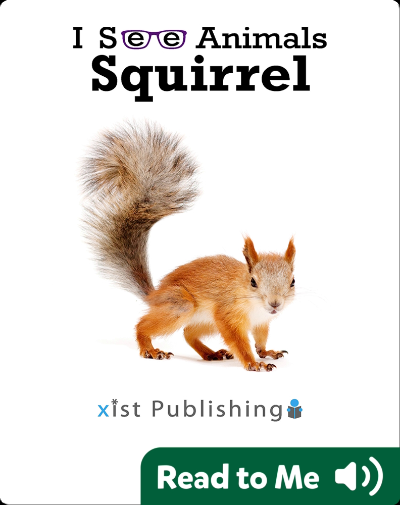 I See Animals: Squirrel Book by August Hoeft | Epic