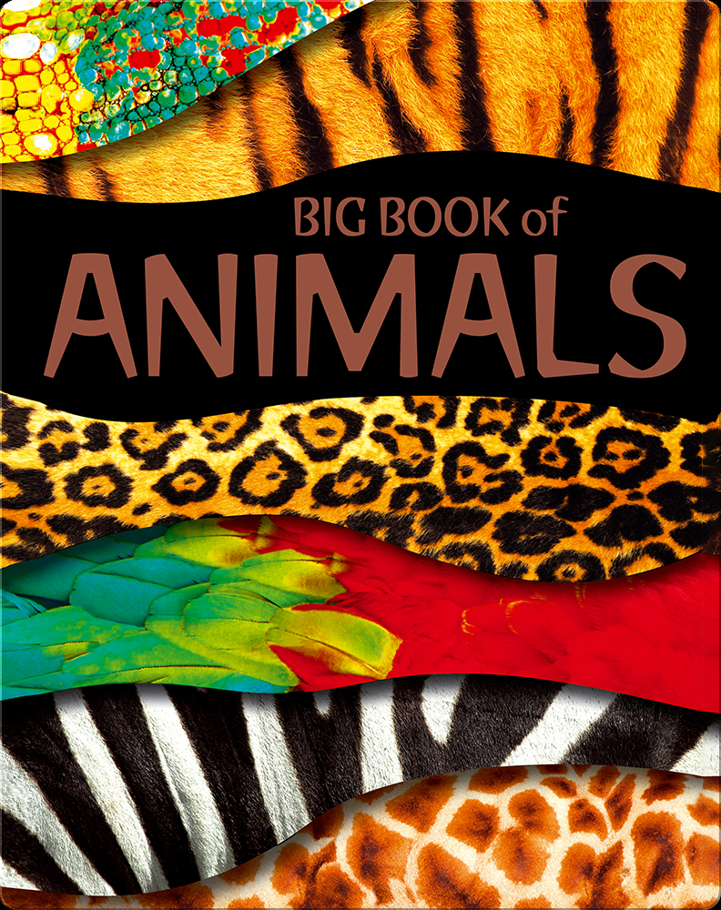 Big Book of Animals Book by Igloo Books | Epic
