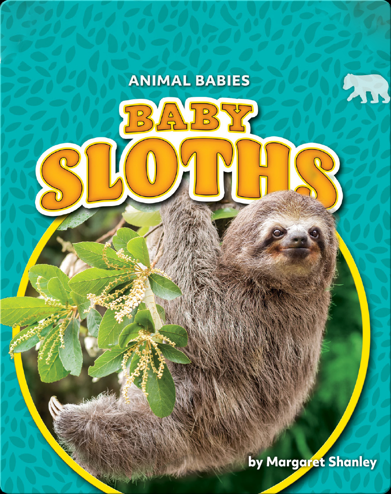 Animal Babies: Baby Sloths Book by Margaret Shanley | Epic