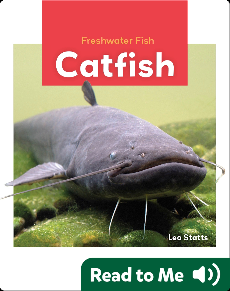 Freshwater Fish: Catfish Book by Leo Statts | Epic