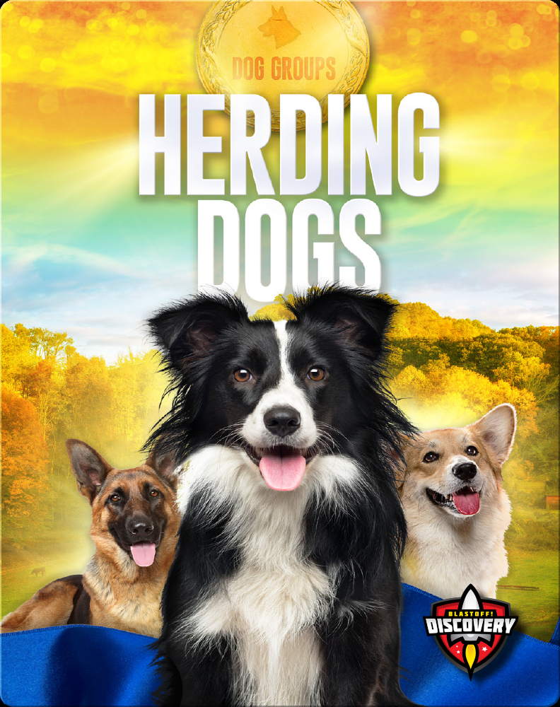 Dog Groups: Herding Dogs Book by Sara Green | Epic