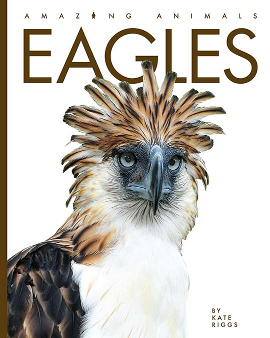 Amazing Animals: Eagles Book by Kate Riggs | Epic