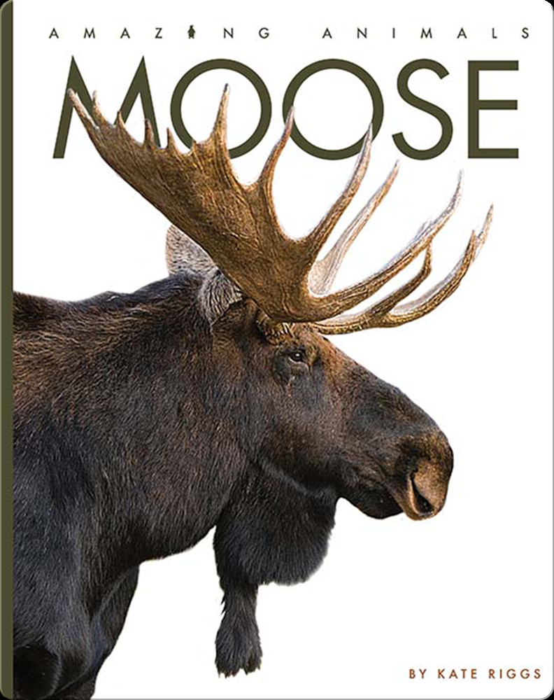 Amazing Animals: Moose Book by Kate Riggs | Epic