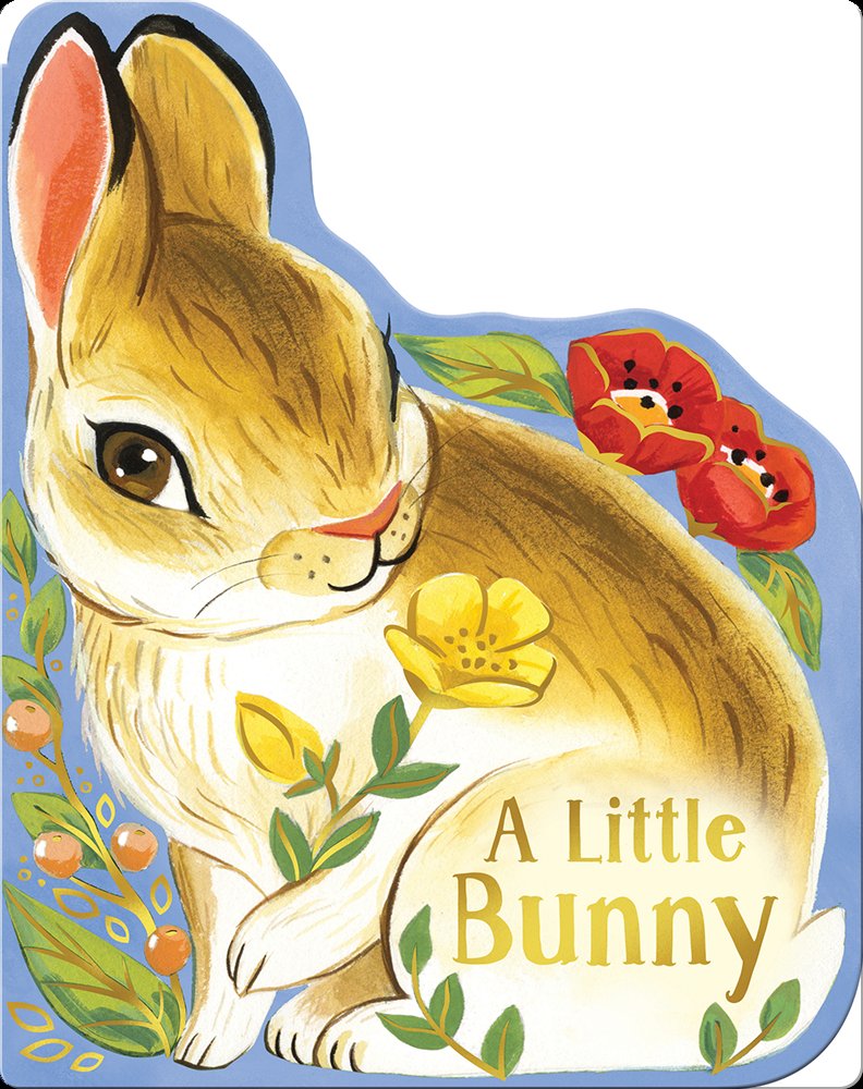A Little Bunny Book by Rosalee Wren | Epic