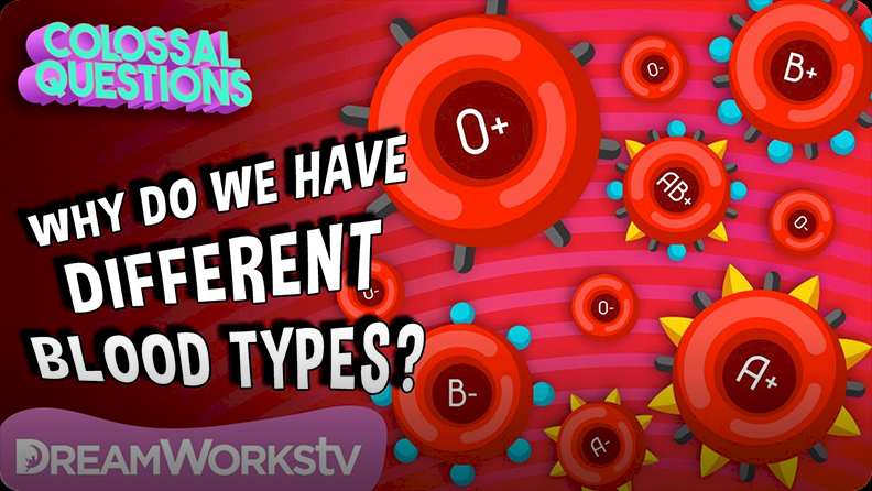Colossal Questions: Why Do We Have Different Blood Types? Video ...