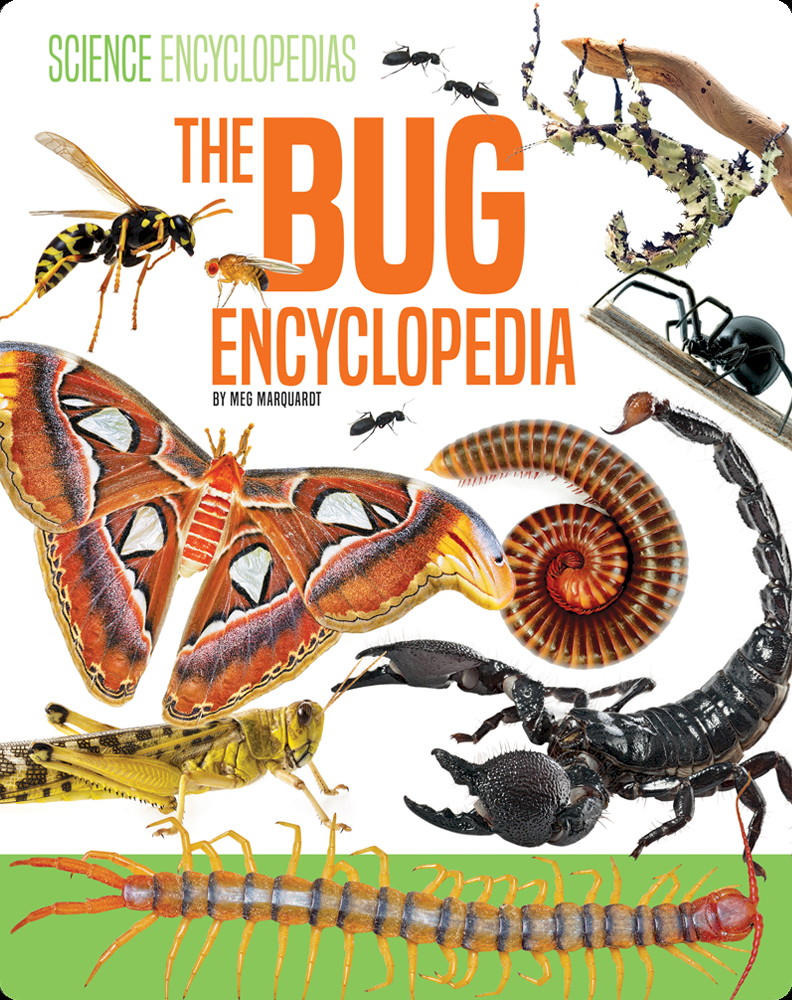 Science Encyclopedias: The Bug Encyclopedia Book by Meg Marquardt | Epic