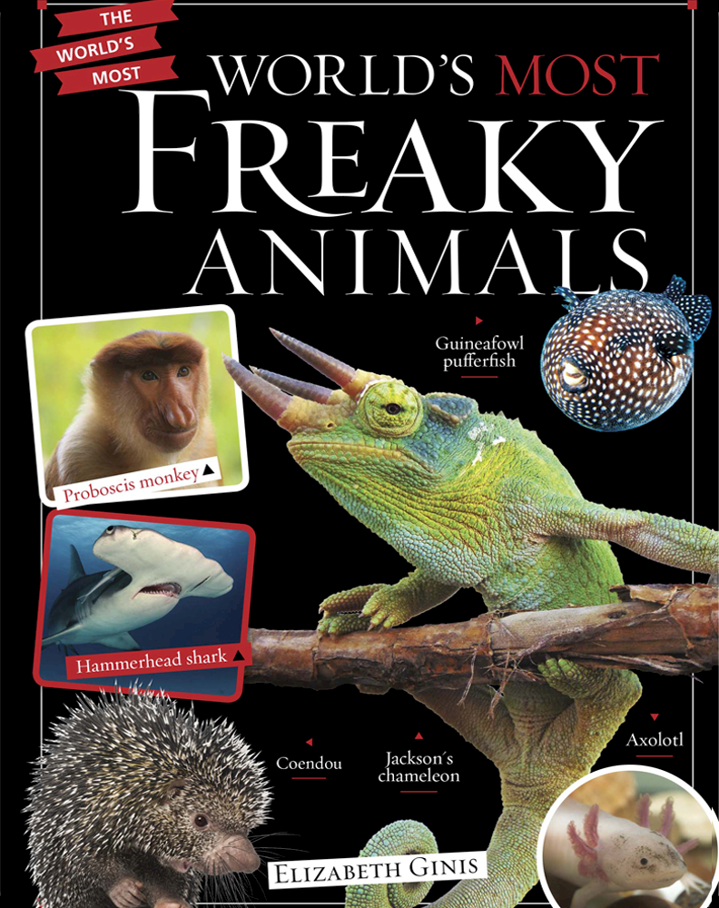 The World's Most: World's Most Freaky Animals Book by Elizabeth Ginis ...