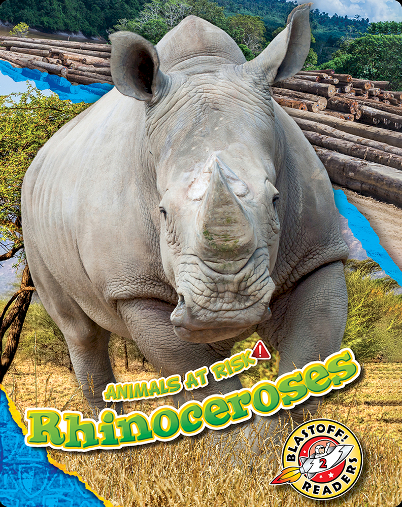 Animals at Risk: Rhinoceroses Book by Rachel Grack | Epic