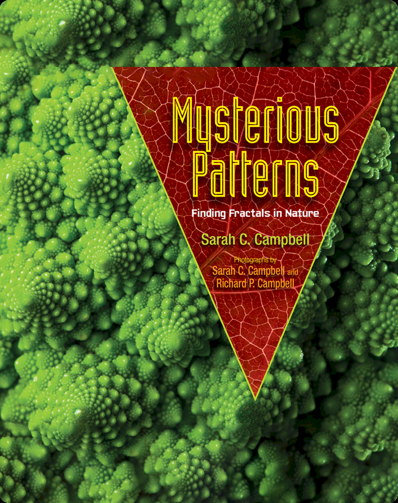 Mysterious Patterns Book by Sarah C. Campbell | Epic