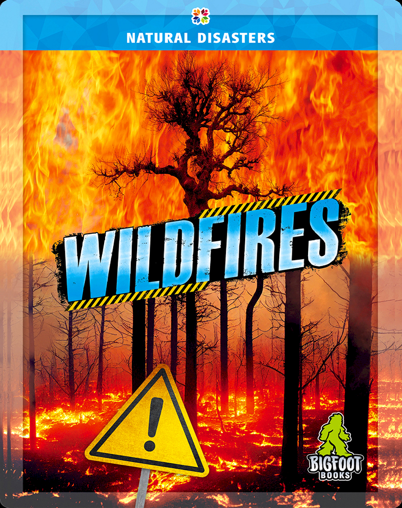Wildfires Book by Joanne Mattern | Epic