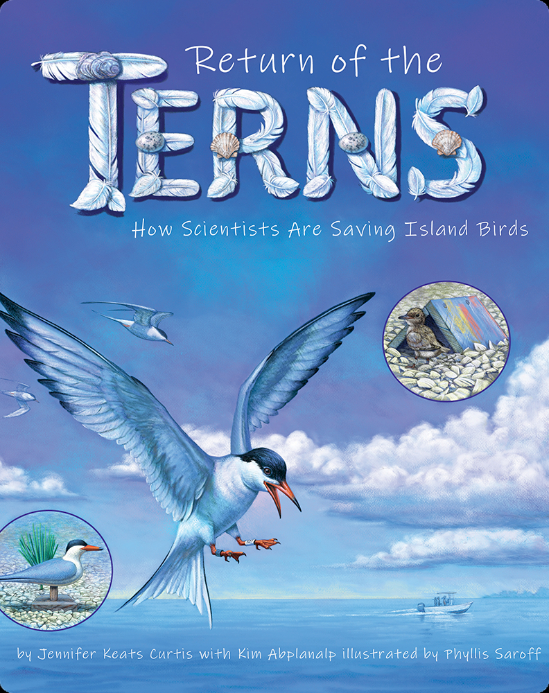 Return of the Terns: How Scientists Are Saving Island Birds Book by ...