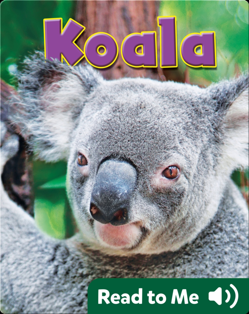Koala Book by Dee Phillips | Epic
