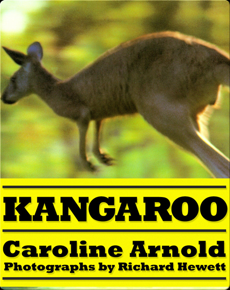 Kangaroo Book by Caroline Arnold | Epic