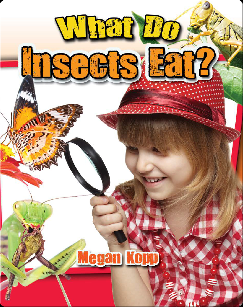 What Do Insects Eat? Book by Megan Kopp | Epic
