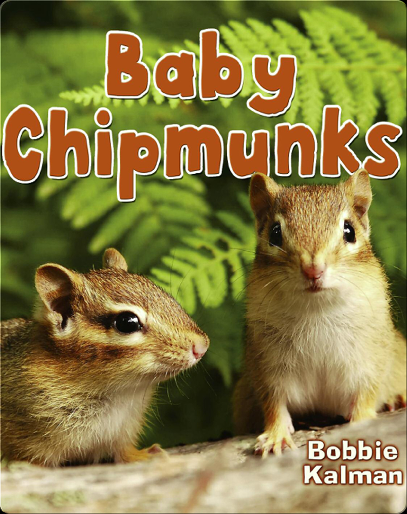 Baby Chipmunks Book by Bobbie Kalman | Epic
