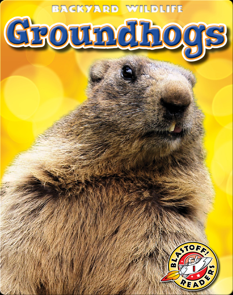 Backyard Wildlife: Groundhogs Book by Kari Schuetz | Epic