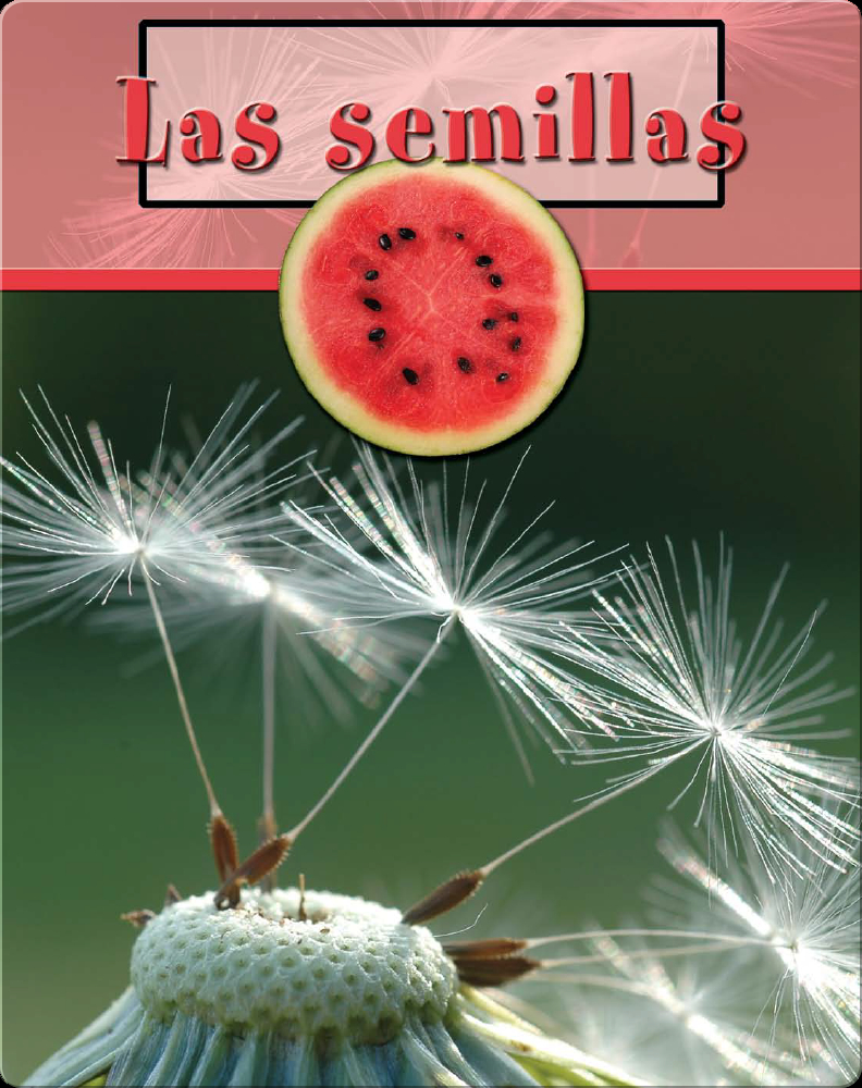 Las semillas (Seeds) Book by Lynn Stone | Epic