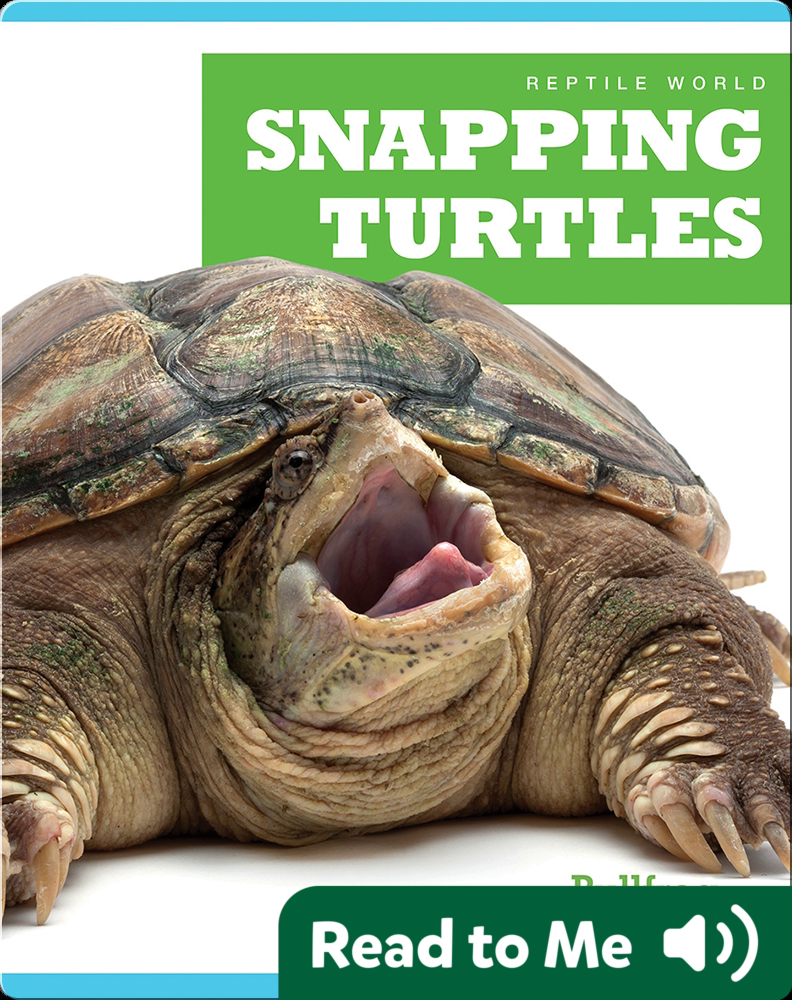 Reptile World: Snapping Turtles Book by Cari Meister | Epic