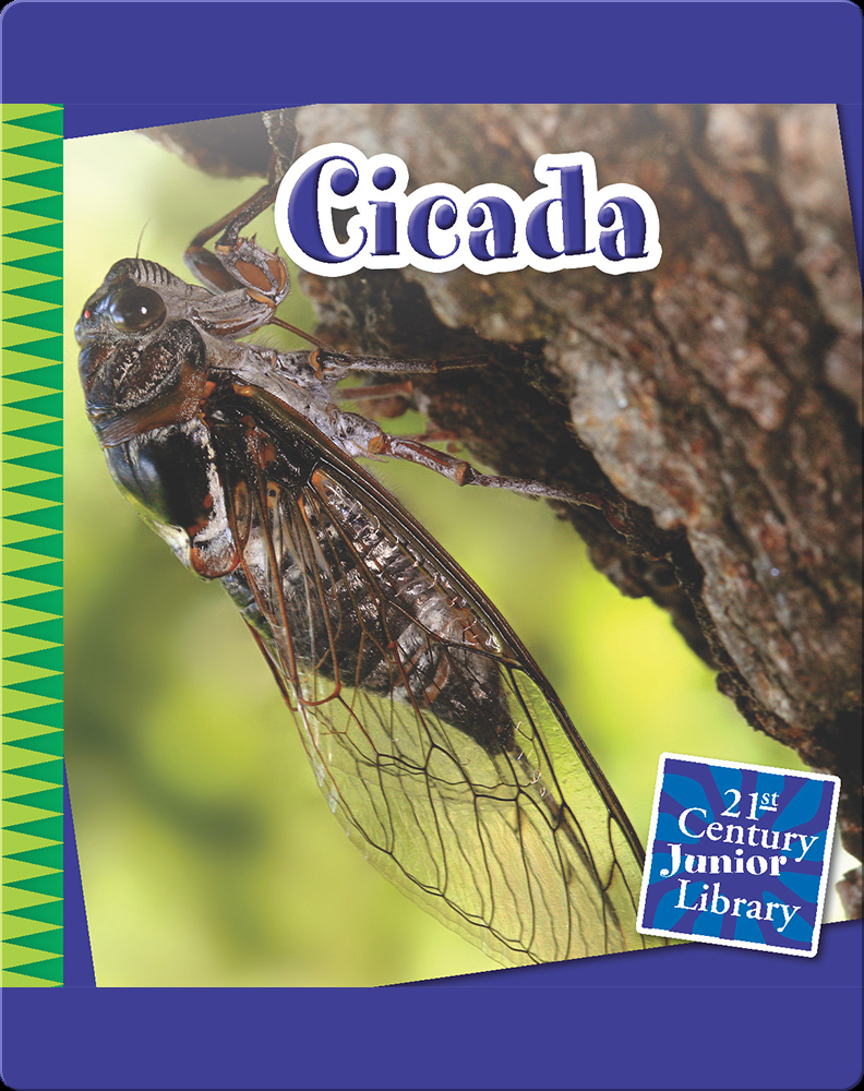 Cicada Book by Mike Shoulders | Epic