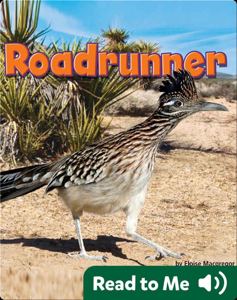 Roadrunner Book by Eloise Macgregor | Epic