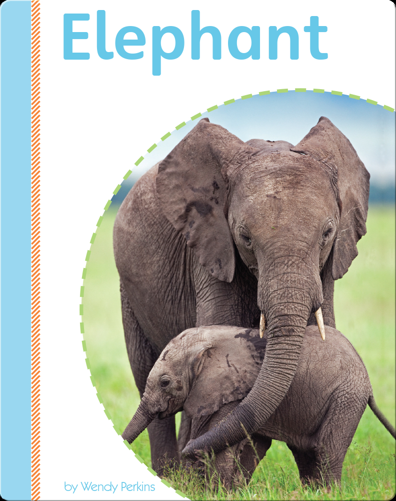Elephant Book by Wendy Perkins | Epic