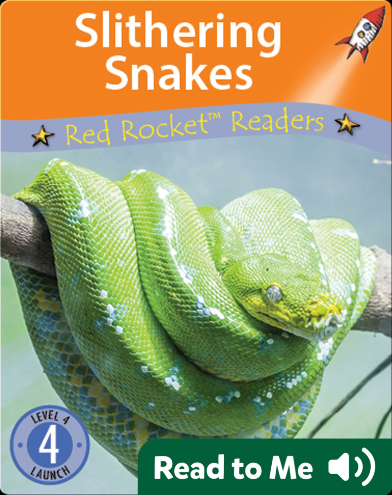 Slithering Snakes Book by Pam Holden | Epic