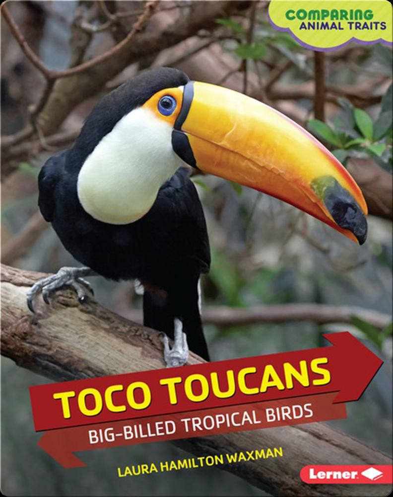 Toco Toucans: Big-Billed Tropical Birds Book by Laura Hamilton Waxman ...