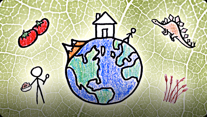 MinuteEarth: The Story of Our Planet Video | Discover Fun and ...