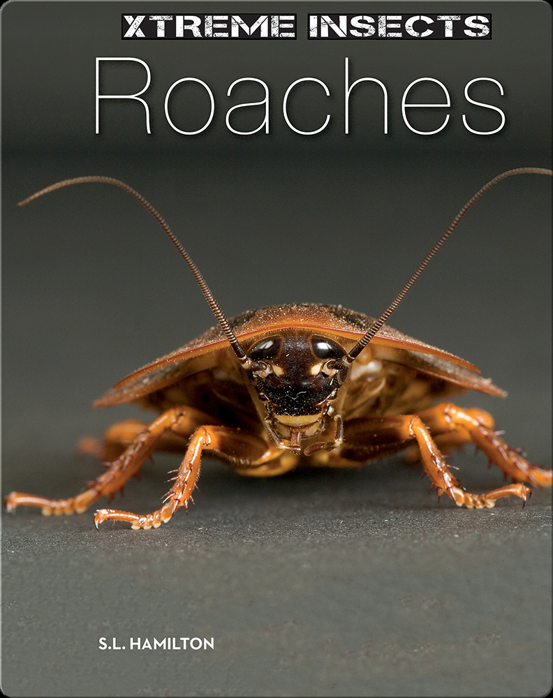 Roaches Book by S.L. Hamilton | Epic