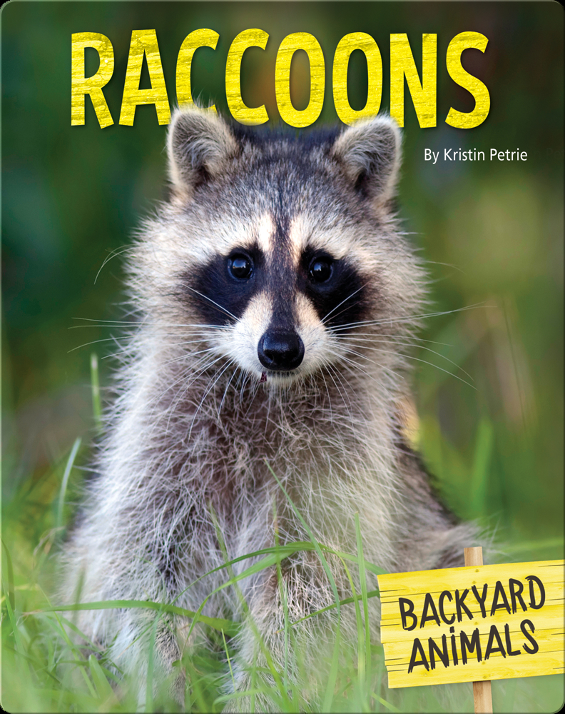 Raccoons Book by Kristin Petrie | Epic