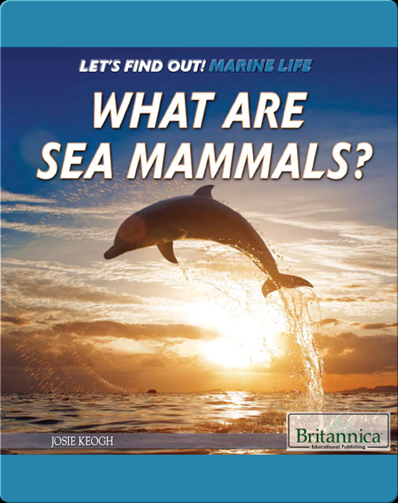 What Are Sea Mammals? Book by Josie Keogh | Epic