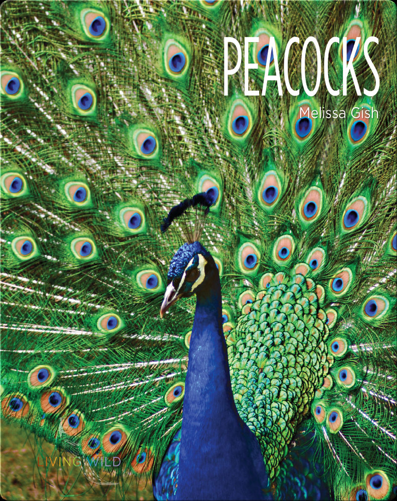 Peacocks Book by Melissa Gish | Epic