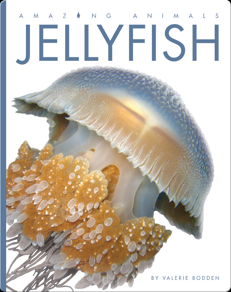 Jellyfish Book by Valerie Bodden | Epic