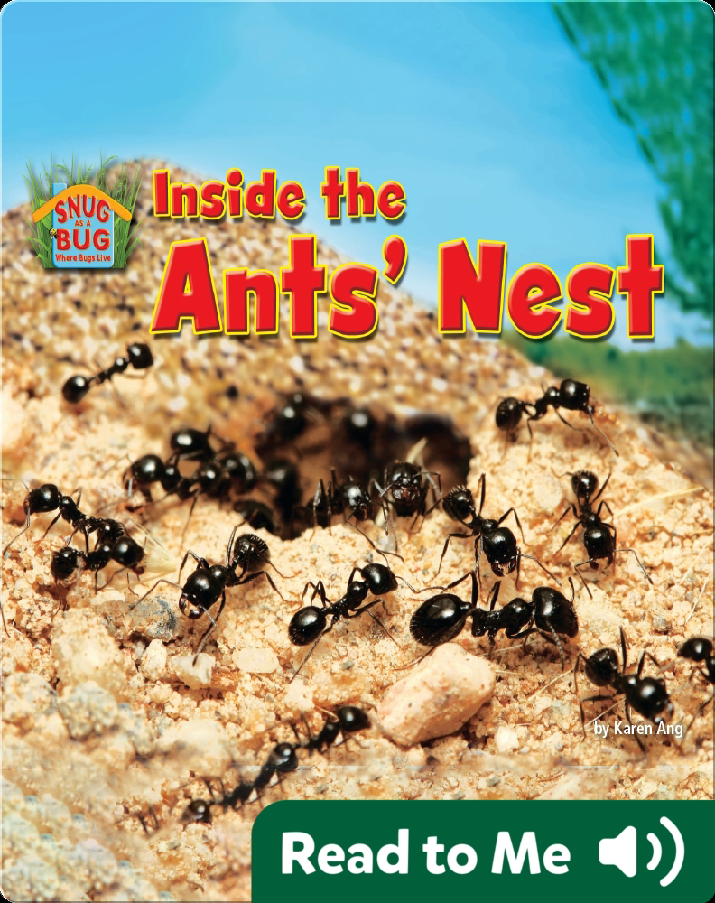 Inside the Ants' Nest Book by Karen Ang | Epic