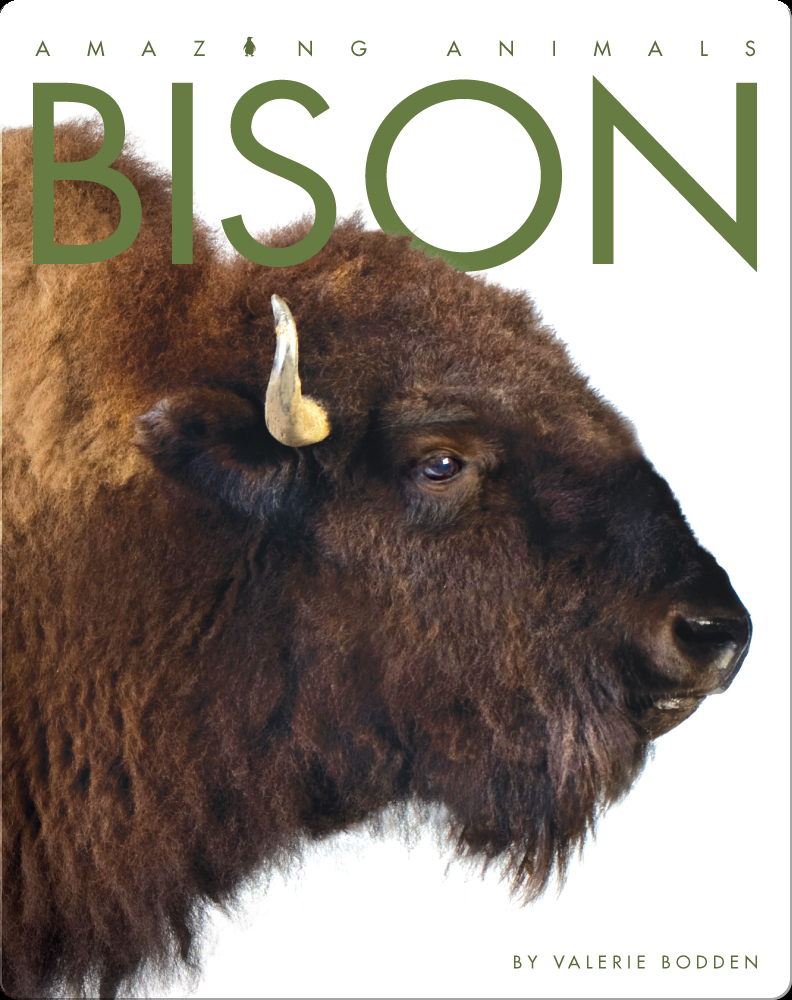 Bison Book by Valerie Bodden | Epic