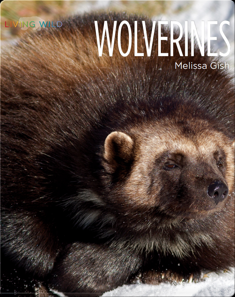 Wolverines Book by Melissa Gish | Epic