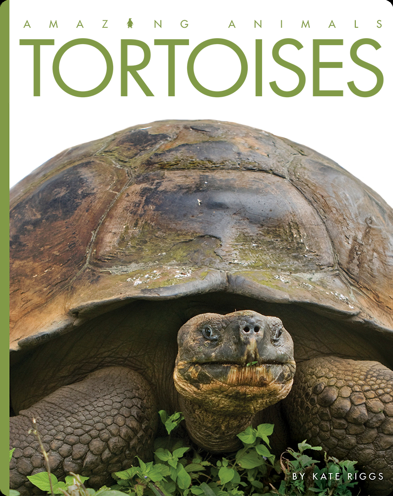 Tortoises Book by Kate Riggs | Epic