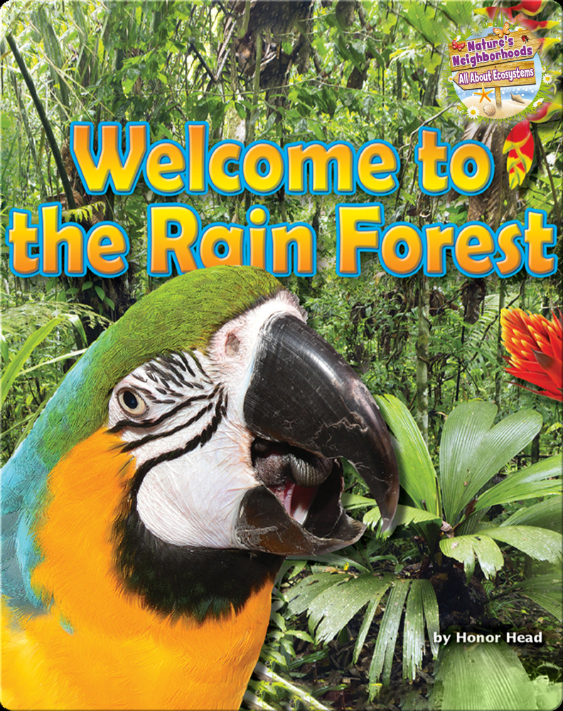 Welcome to the Rain Forest Book by Honor Head | Epic